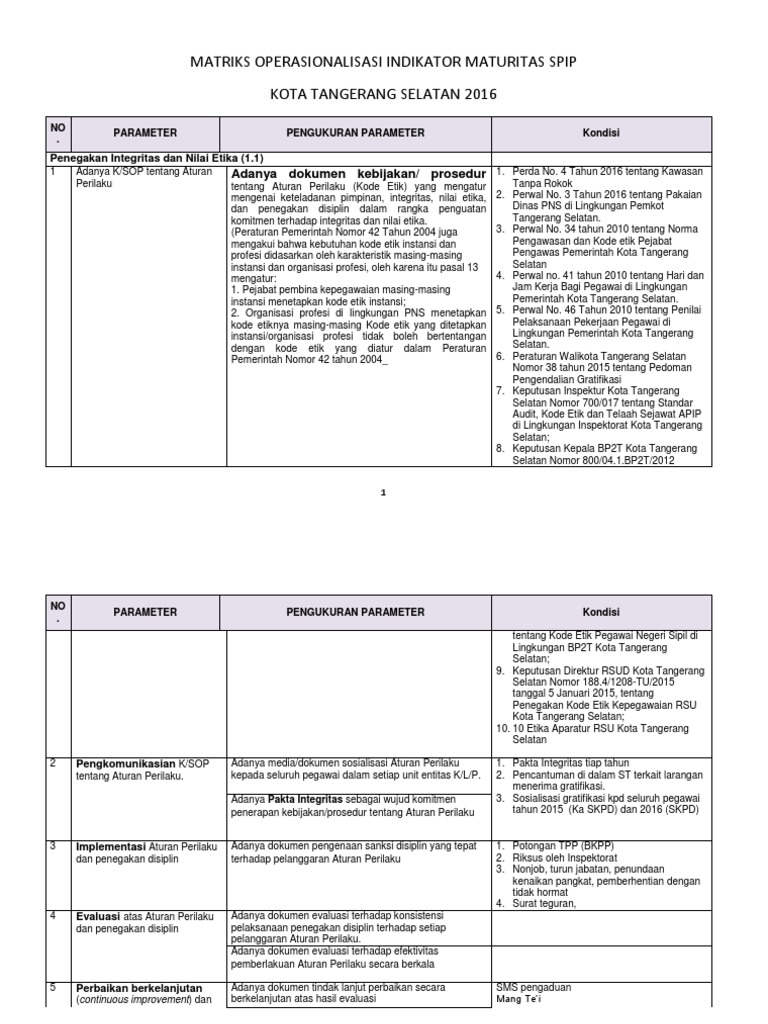 Contoh Maturilas Level SPIP Kota Tangsel 2017 | PDF