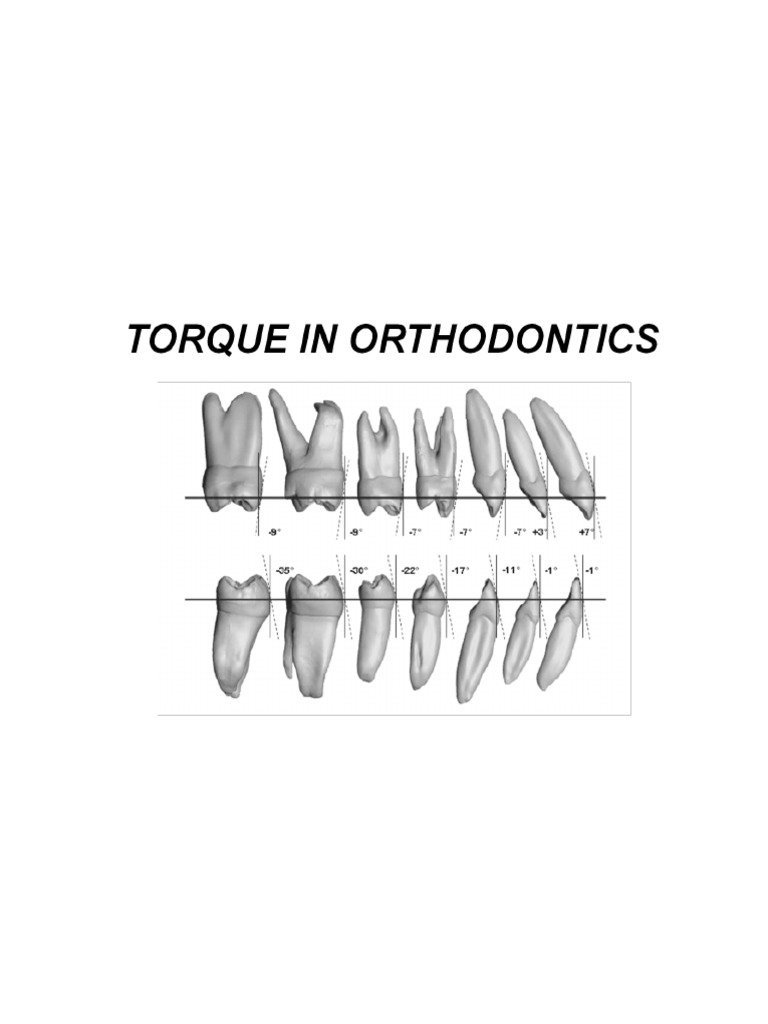 Torque | PDF | Orthodontics | Face