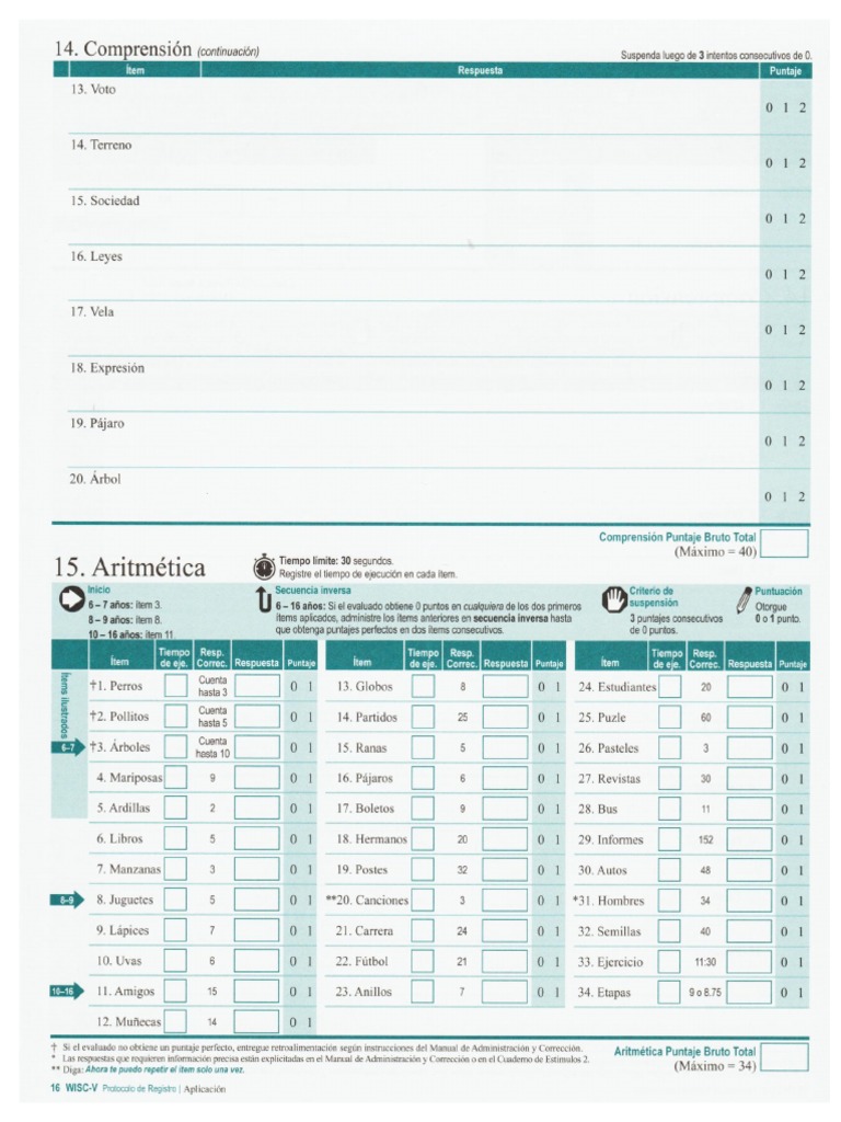 Protocolo Wisc V | PDF