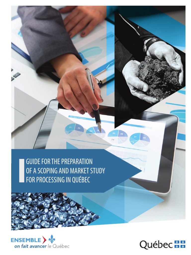 Guide Processing en | PDF | Feasibility Study | Mining