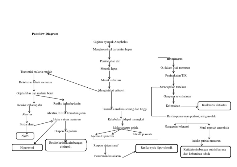 Pathway Malaria | PDF