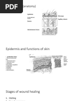 Class - Burns, Skin Graft & Flaps | PDF | Burn | Shock (Circulatory)