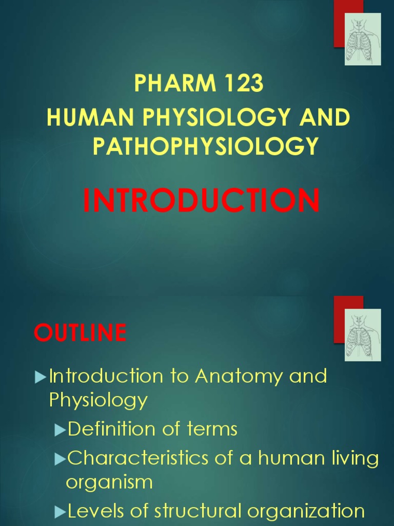 Chapter 1 - INTRODUCTION TO ANATOMY AND PHYSIOLOGY PDF | PDF ...