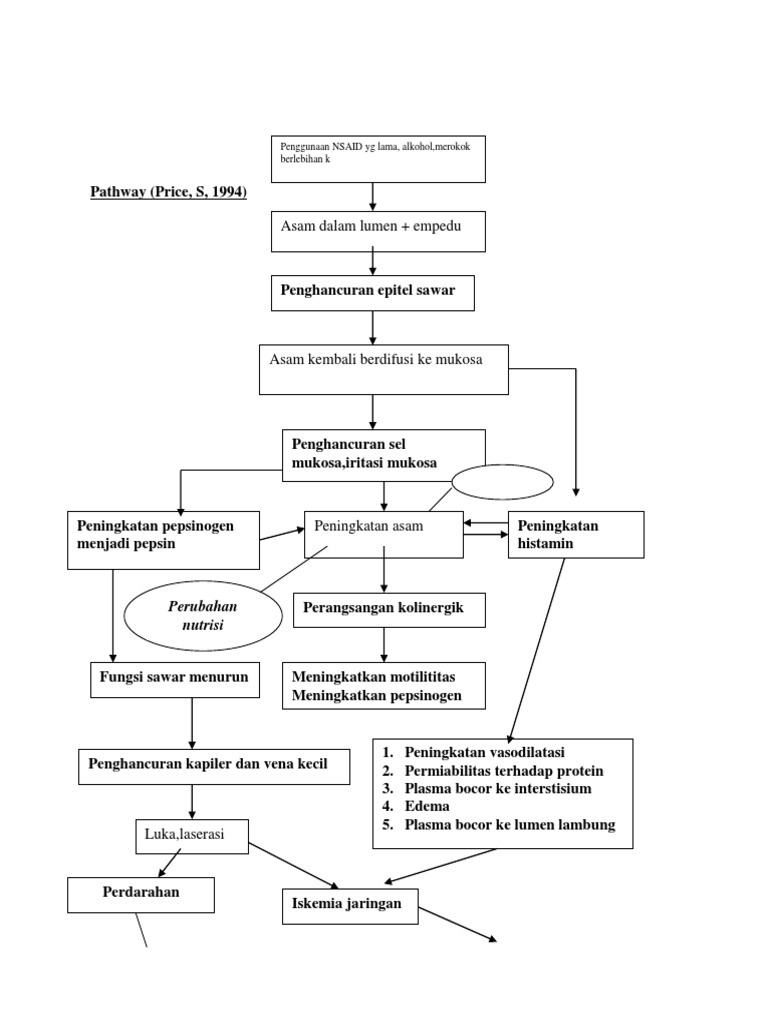 Faktor Risiko dan Patofisiologi Ulcus Lambung | PDF
