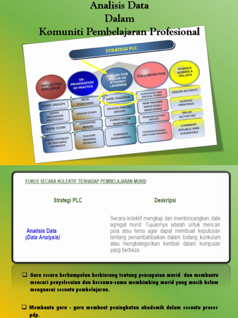 Data Analysis Presentation | PDF