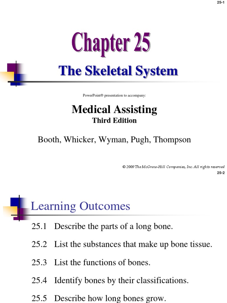 Skeletal System Powerpoint | PDF | Bone | Vertebral Column
