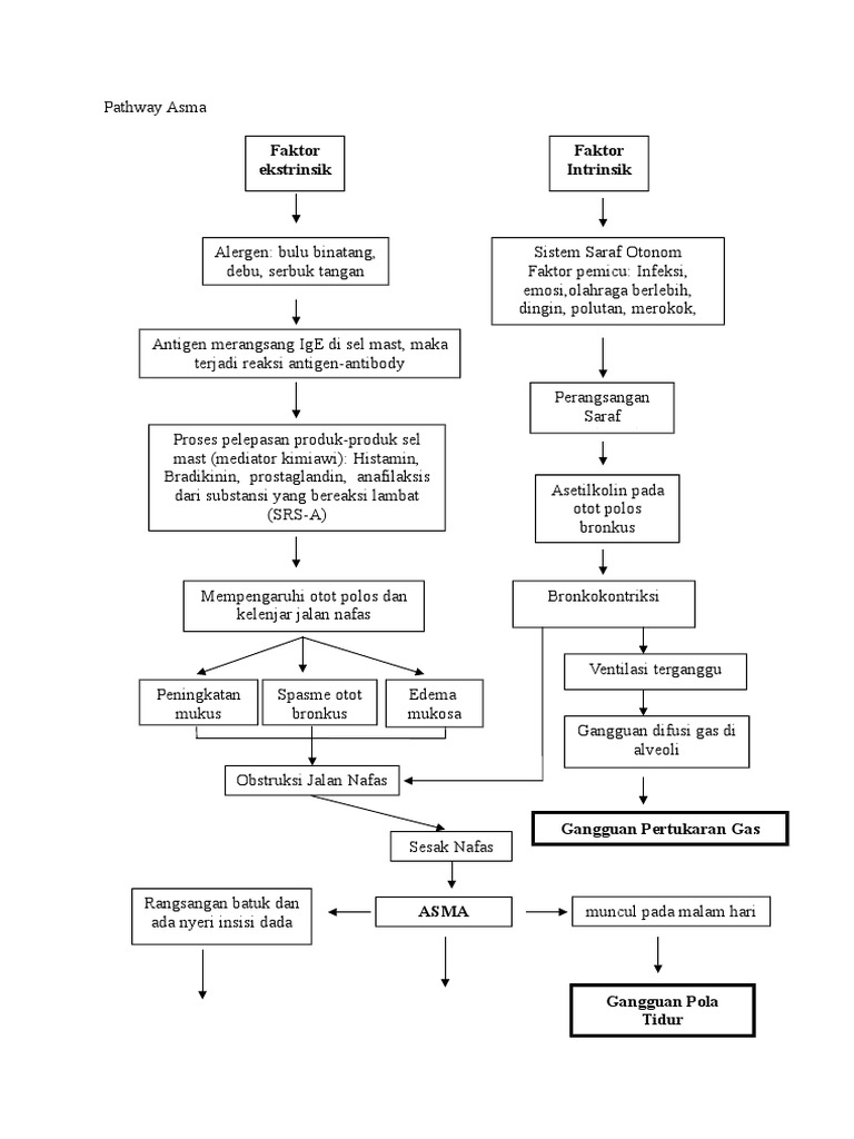 PATHWAY Asma Lengkap | PDF