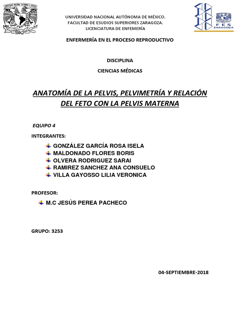 Anatomía de La Pelvis, Pelvimetria Relación Feto Pelvis | PDF | Pelvis ...
