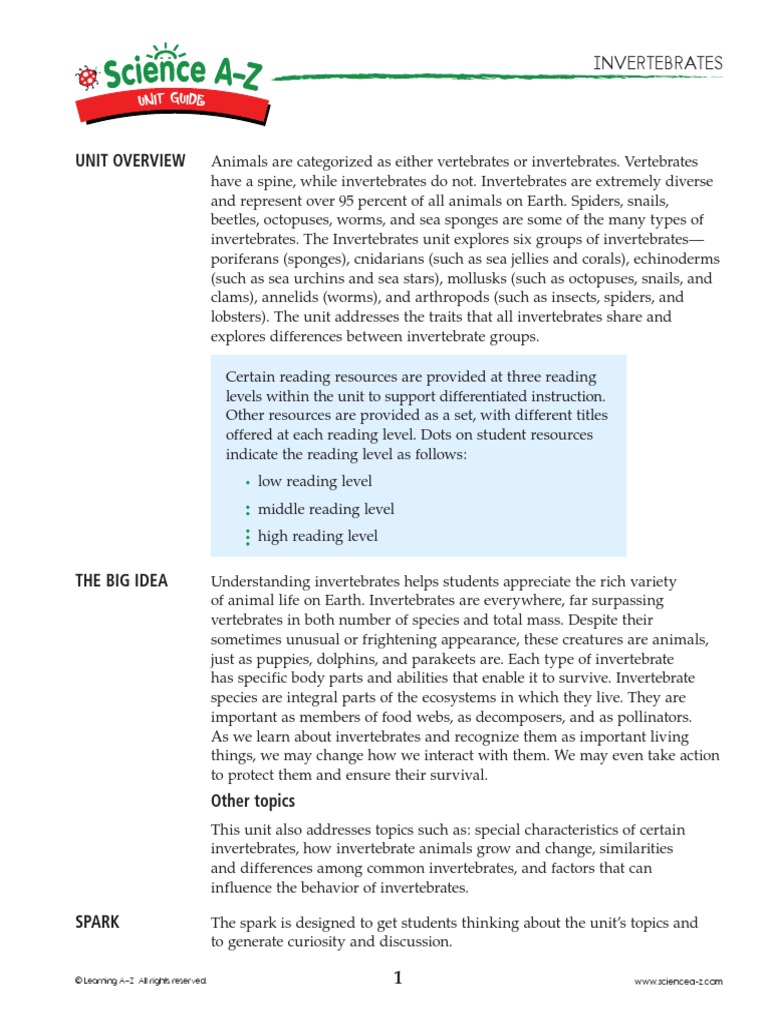 Invertebrates 3-4 Unit Guide PDF | PDF | Invertebrate | Insects