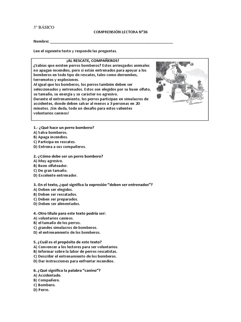 Comprensión Lectora 3° Básico | PDF | Perros | Sueño