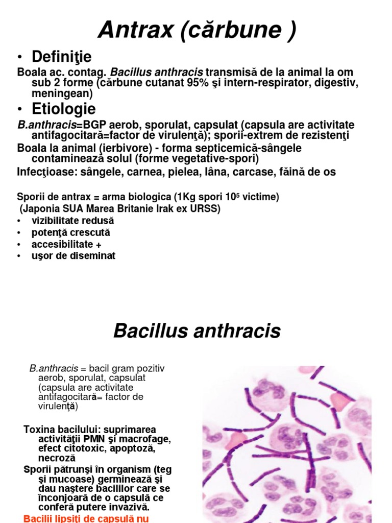 Antrax | PDF
