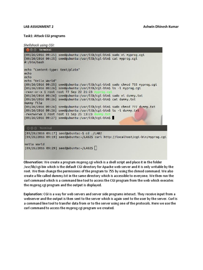 Shellshock Attack Scenarios | PDF | Shell (Computing) | Subroutine