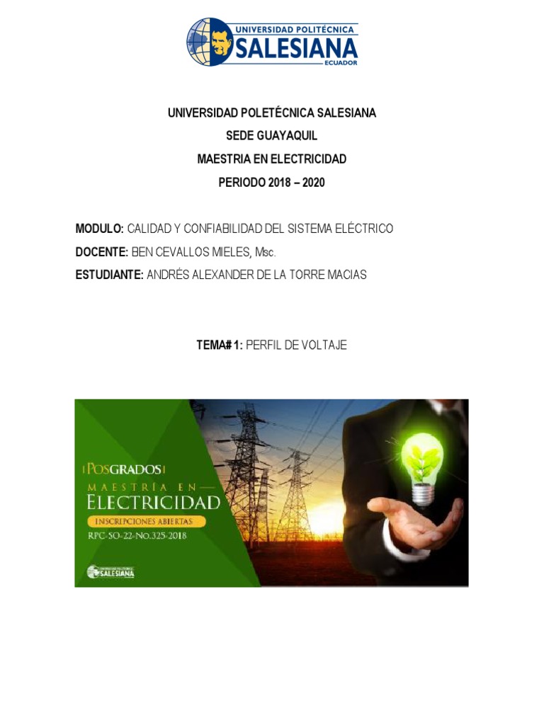 Perfiles de Voltajes | PDF | Electromagnetismo | Electricidad