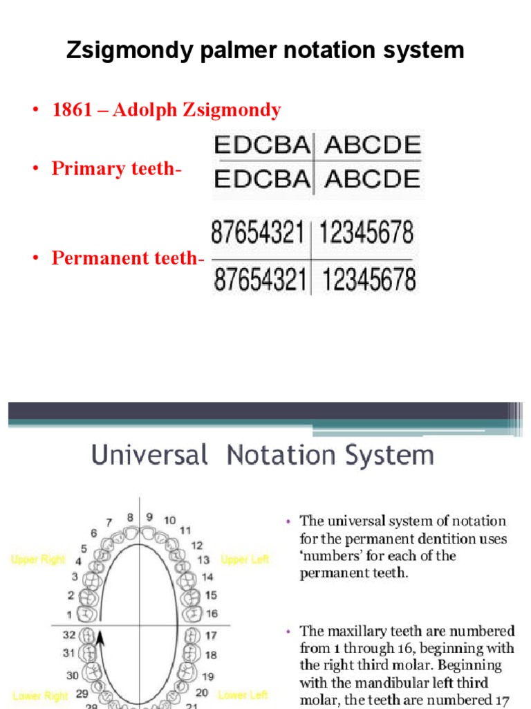 Zsigmondy Palmer Notation System: 1861 - Adolph Zsigmondy Primary Teeth ...