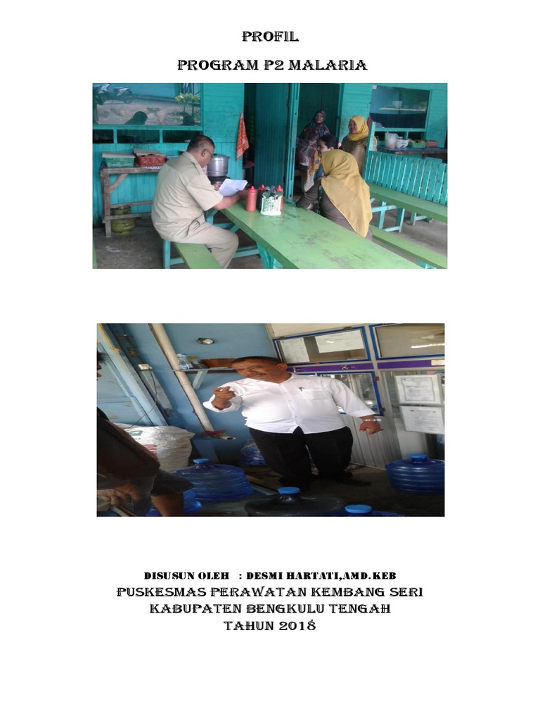 Profil Malaria | PDF