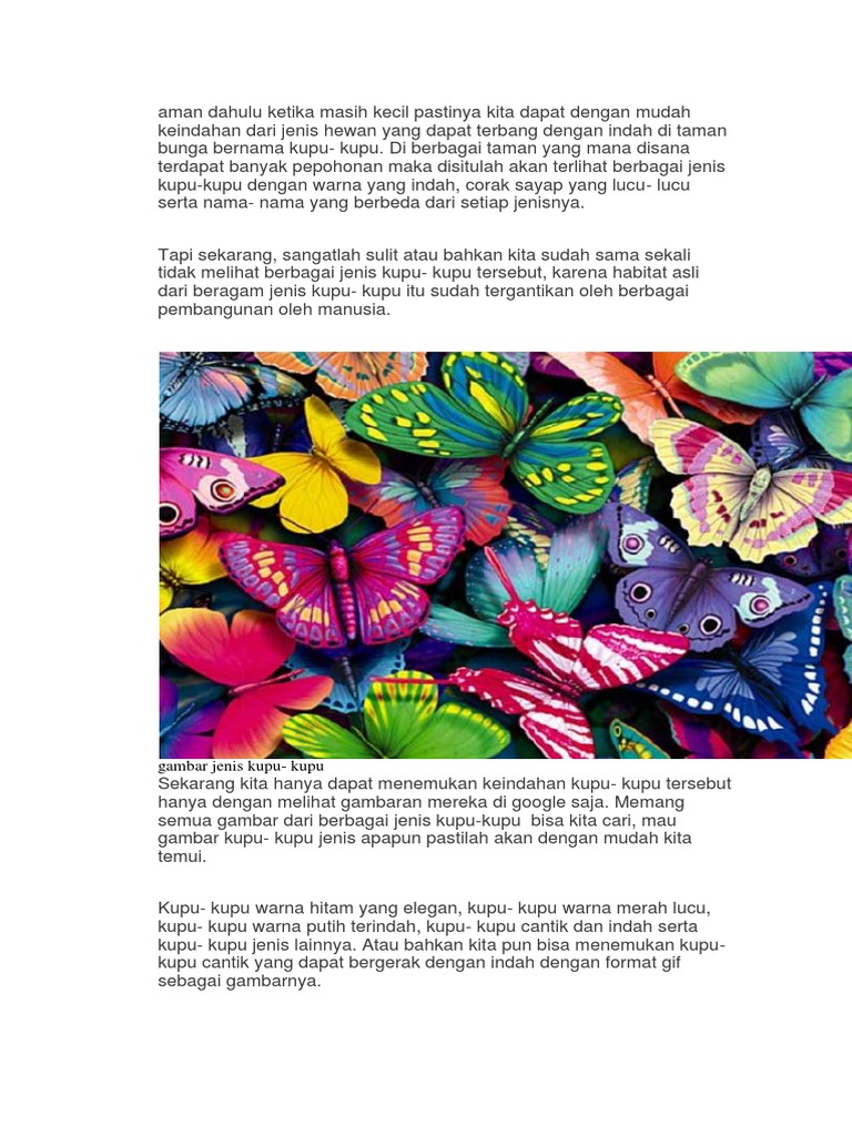 Kupu-Kupu di Indonesia | PDF