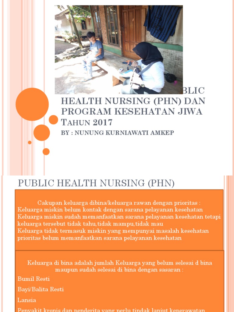 Evaluasi Program PHN Dan Program Kesehatan Jiwa | PDF