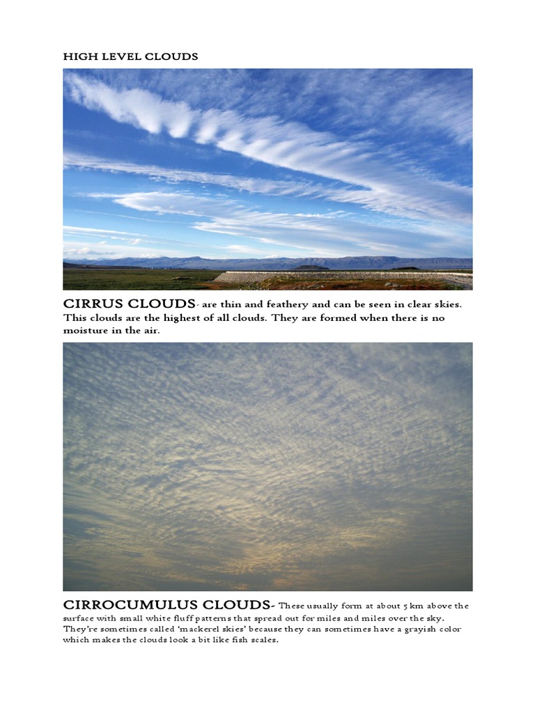 Types of Clouds | PDF | Cloud | Clouds, Fog And Precipitation