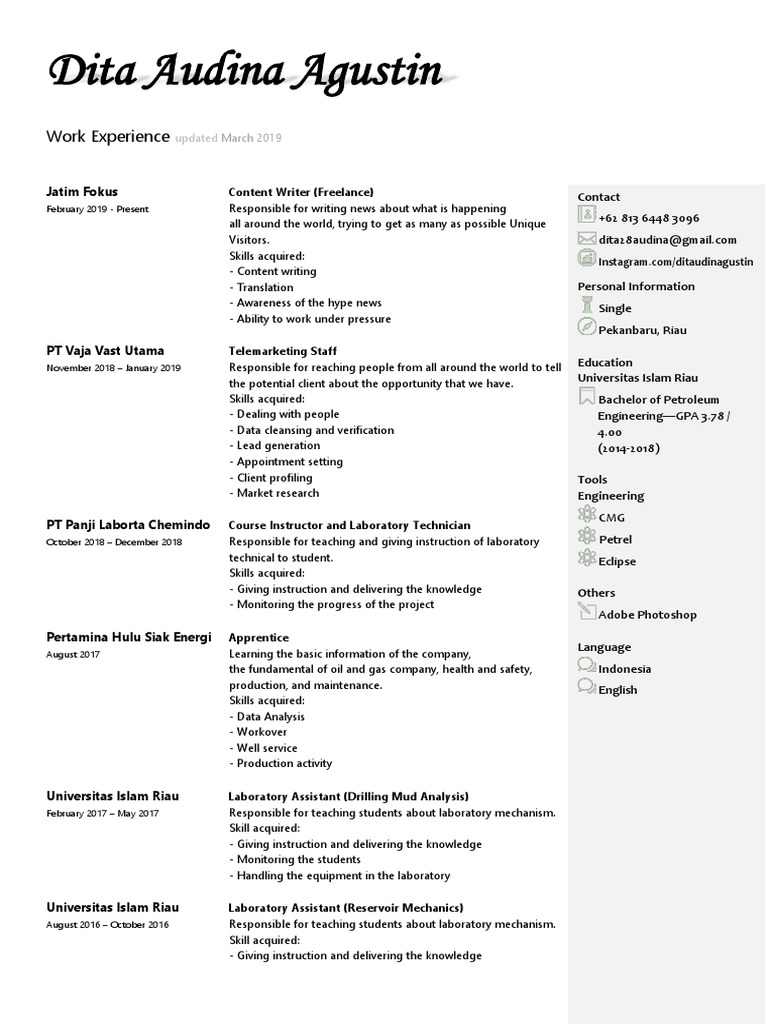 CV Dita Audina A | PDF | Laboratories | Communication