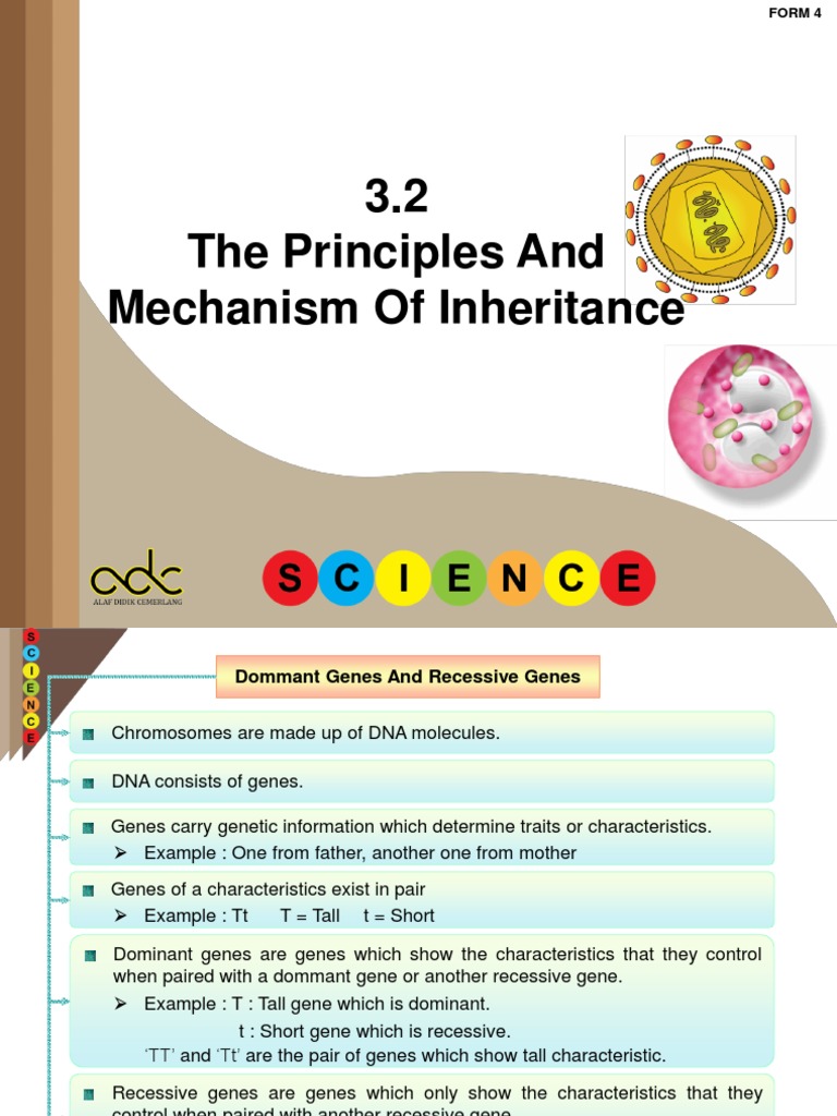 3.2 The Principles and Mechanism of Inheritance | PDF | Dominance ...