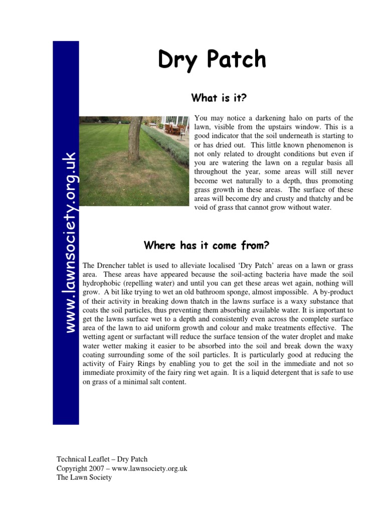 Dry Patch | PDF | Lawn | Wetting