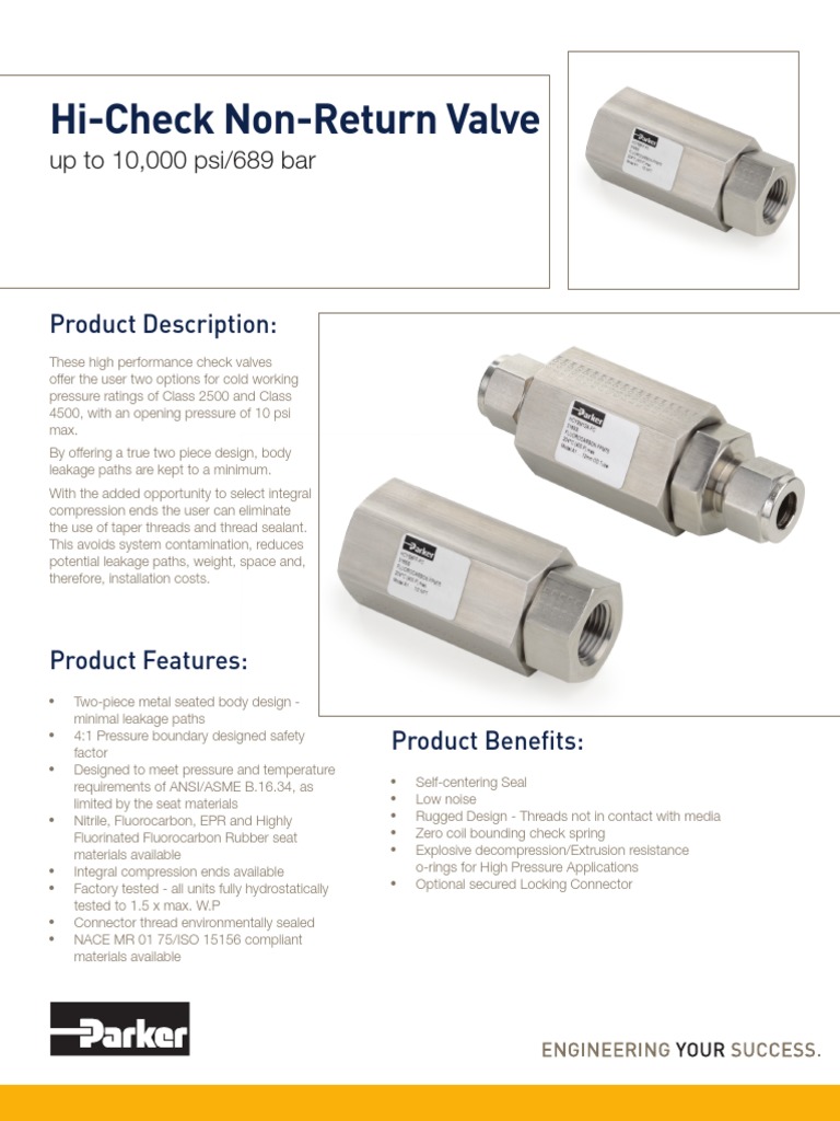 Hi Check Non-Return Valve Brochure 4190-CV | PDF | Valve | Pipe (Fluid ...