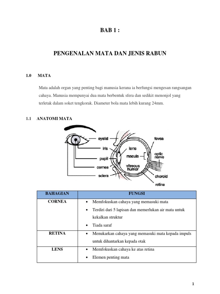 Bab 1 Mata | PDF