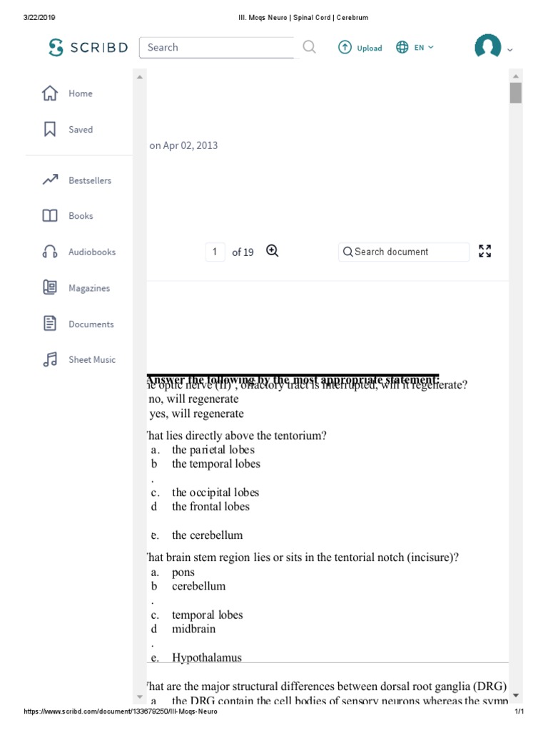 III. Mcqs Neuro - Spinal Cord - Cerebrum | PDF