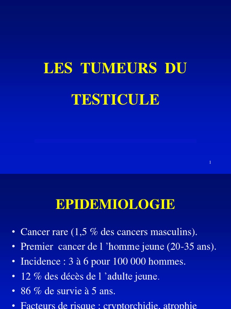 Cancer Testicule | PDF | Néoplasmes | Cancer