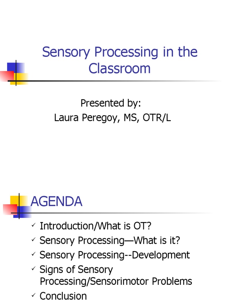 Sensory Processing in The Classroom Sped | Download Free PDF | Senses ...
