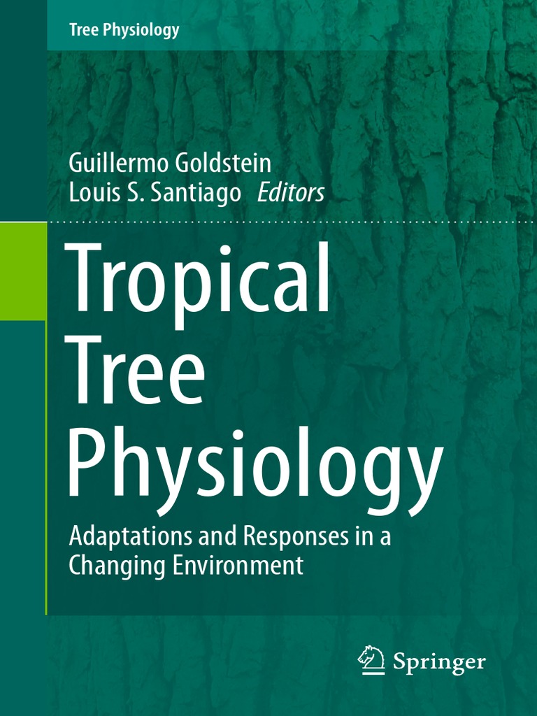 Tropical Tree Physiology | PDF | Trees | Leaf