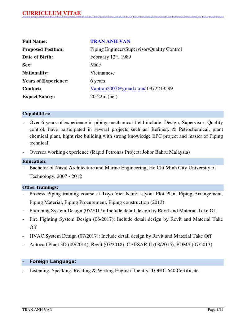 A Comprehensive Curriculum Vitae for a Piping Engineer with Over Six ...