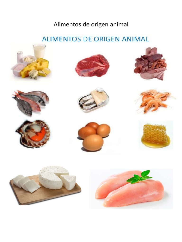 Alimentos de Origen Animal | PDF | Enfermedades transmitidas por ...