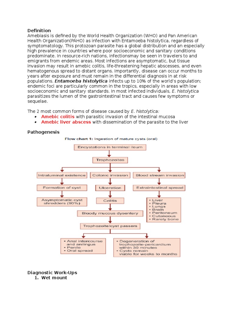 Amebiasis Definition Pathodx | PDF | Medical Specialties | Clinical ...