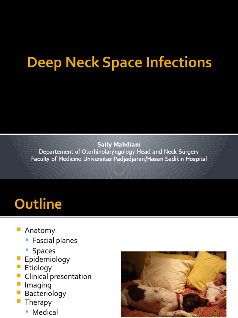 Deep Neck Infection Sally | PDF | Common Carotid Artery | Neck