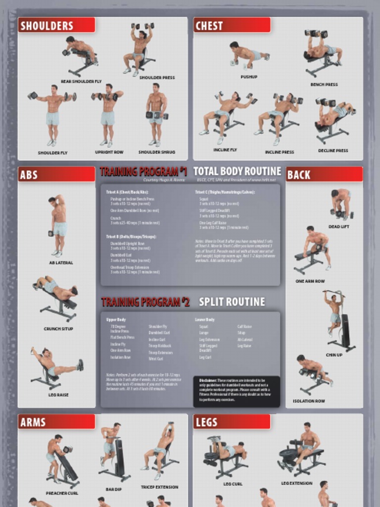 Dumbbell Poster 2012 PDF | Descargar gratis PDF | Weight Training ...