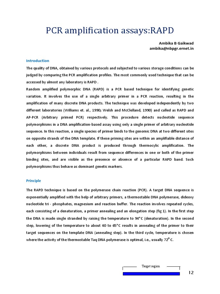 PCR Amplification assays-RAPD PDF | PDF | Polymerase Chain Reaction ...