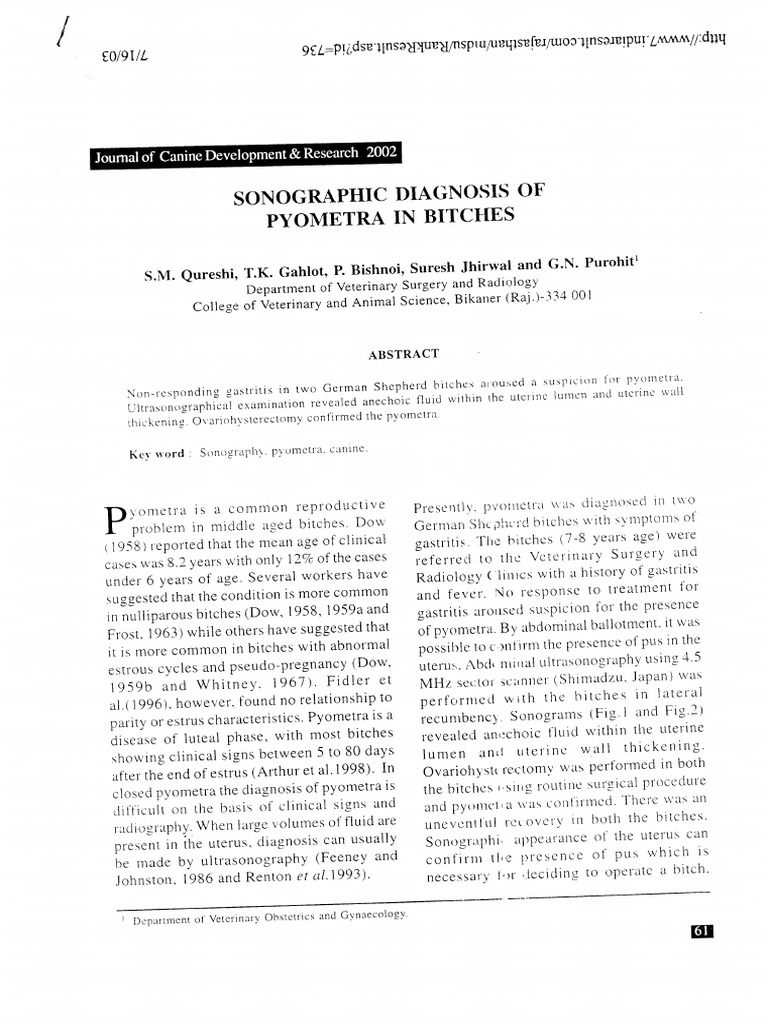 Sonography Pyometra Bitch | PDF | Medical Specialties | Human Reproduction