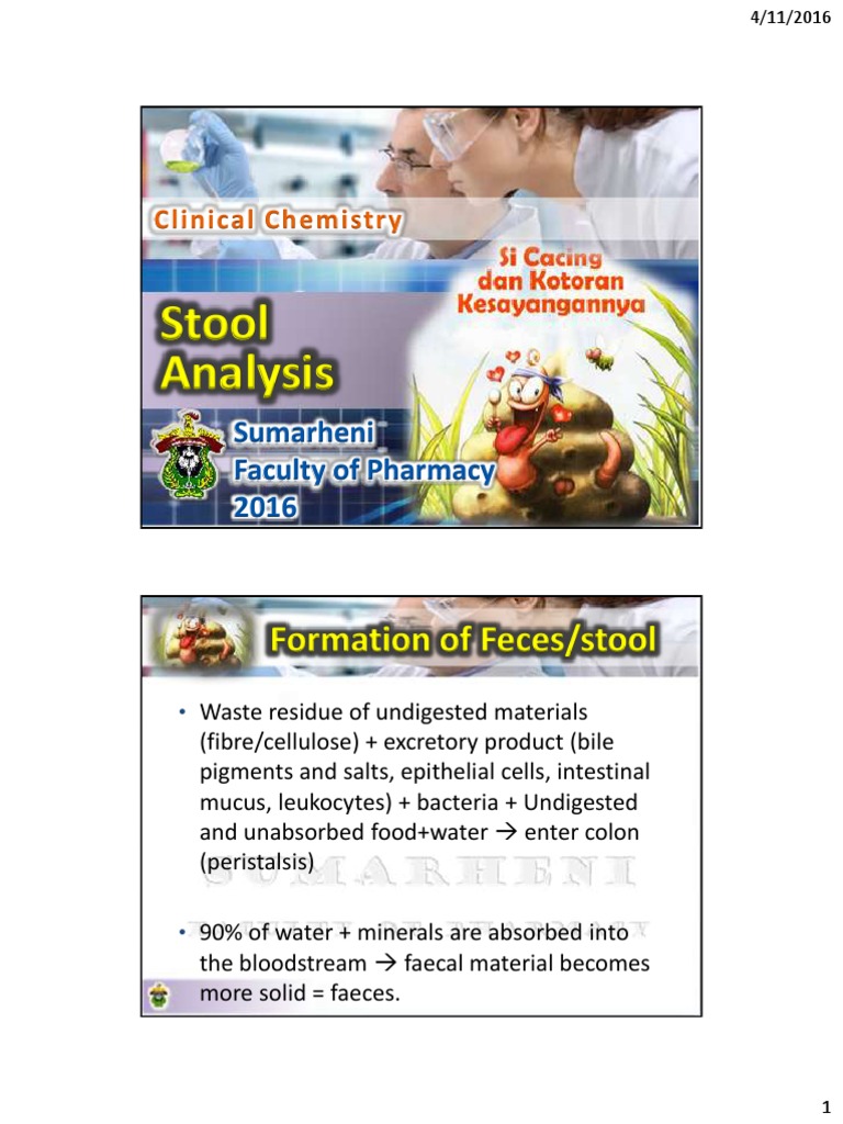 Stool Analysis: Formation of Feces/stool | PDF | Human Feces | Rectum