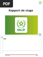 Organigramme Et Filiales de OCP | PDF