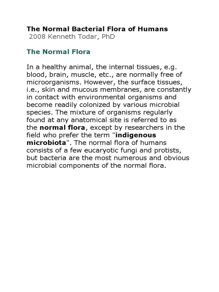 Normal Bacterial Flora | PDF | Streptococcus | Bacteria