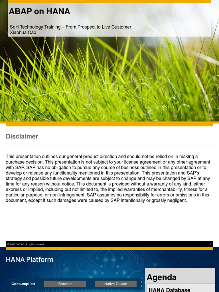 ABAP On HANA Printversion PDF | PDF | Sap Se | Parameter (Computer Programming)