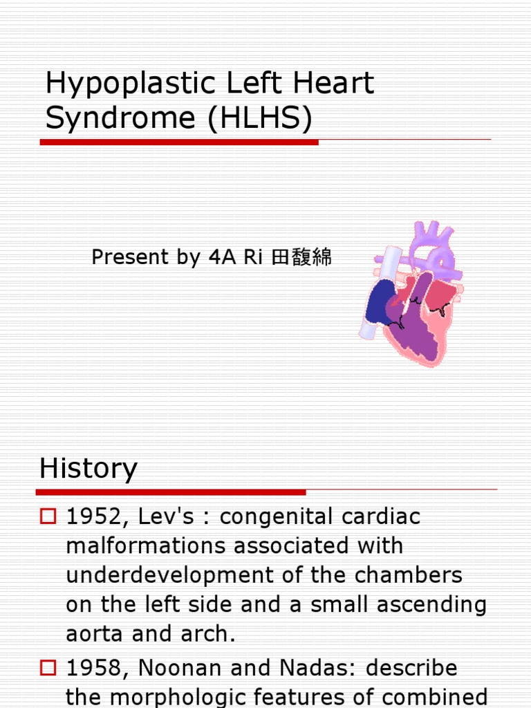 Hypoplastic Left Heart Syndrome Overview | PDF | Cardiology ...