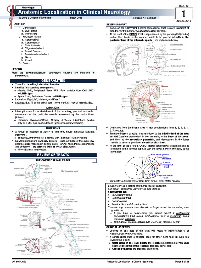 Anatomic Localization in Clinical Neurology: Generalities | PDF ...
