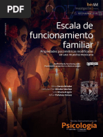 Cuestionario de Evaluacion Del Funcionamiento Familiar (Eff) | PDF