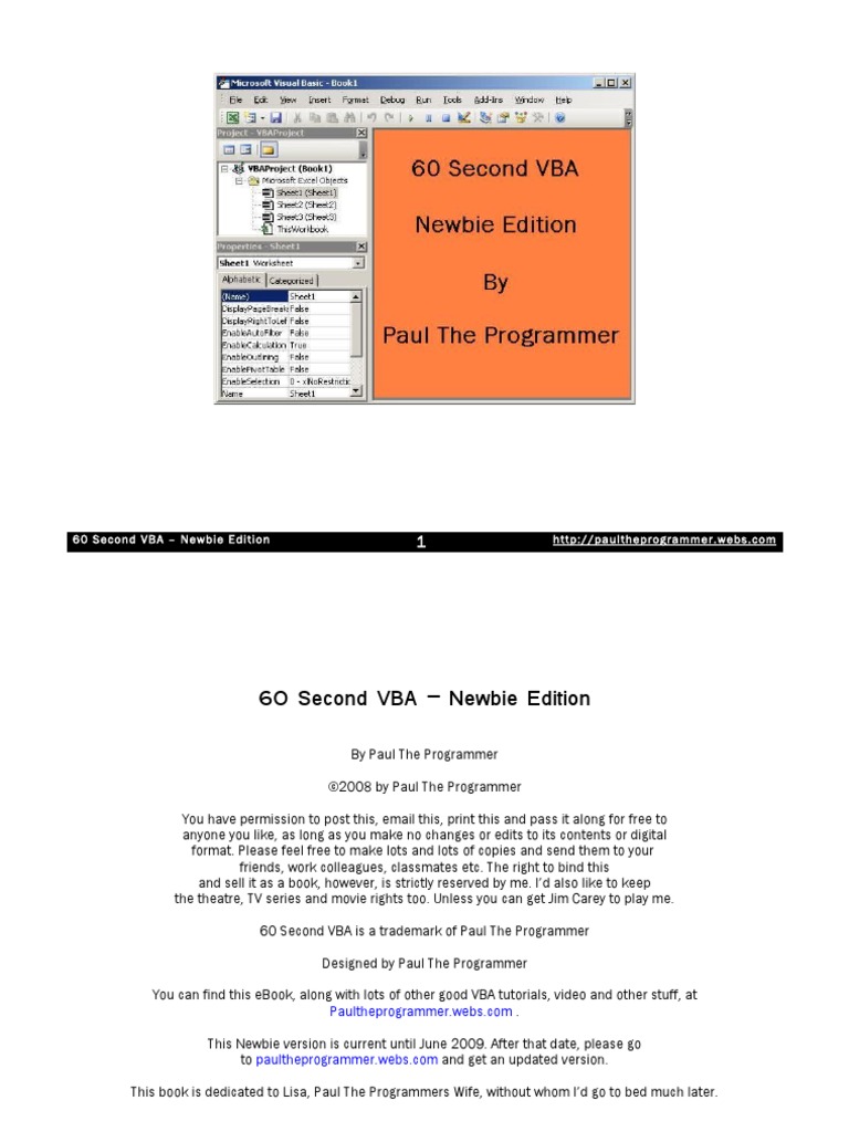 60 Second VBA - Newbie Edition | PDF | Visual Basic For Applications | Subroutine