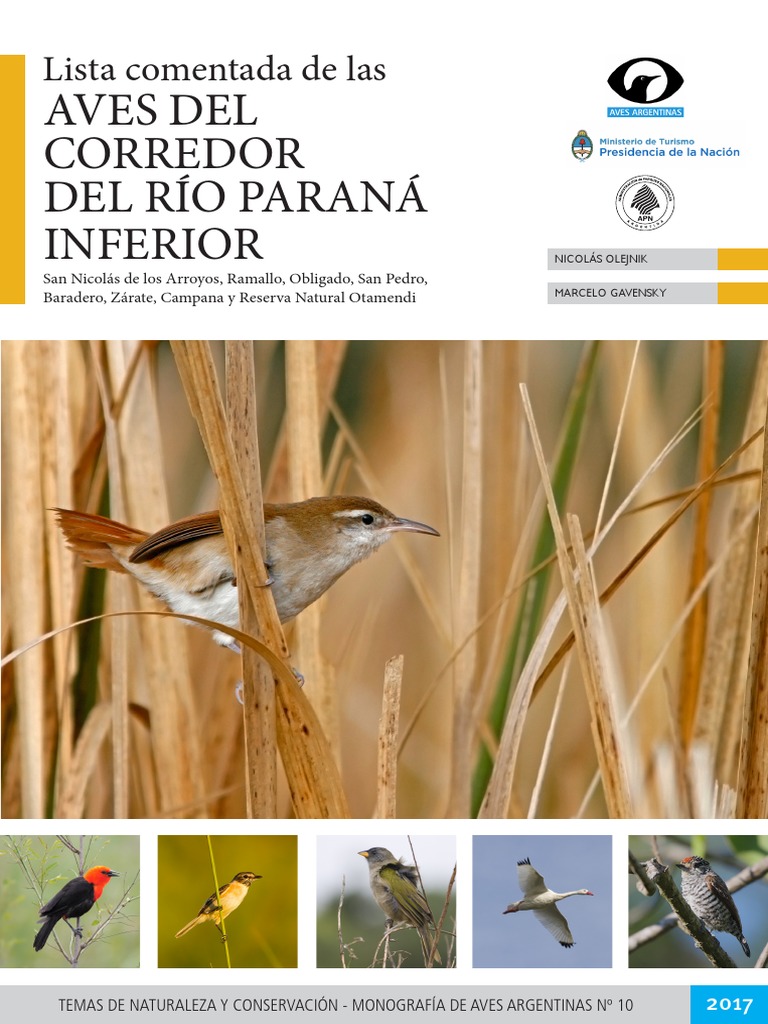 Lista Comentada de Las Aves Del Corredor Del Río Paraná Inferior PDF ... Lista Comentada de Las Aves Del Corredor Del Río Paraná Inferior PDF ...