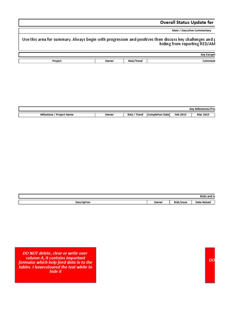 PMO Project Programme Status Update RAID Milestones Template 12 Month ...