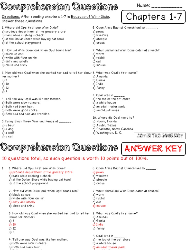 Winn-Dixie Chapter Question Worksheets | PDF | Nature | Leisure