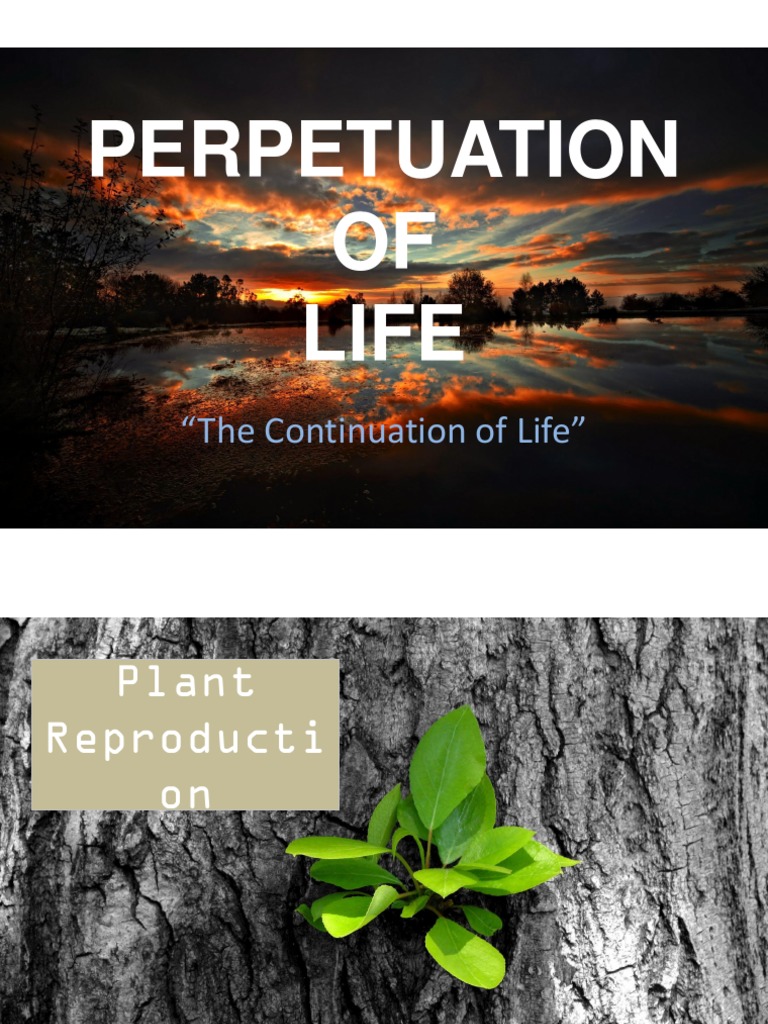 1.0 Perpetuation of Life | PDF | Plant Reproduction | Reproduction
